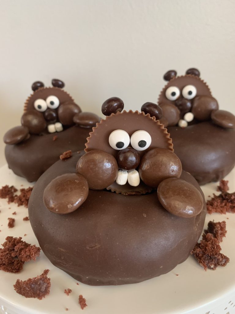 Groundhog Donuts – RuthAnne Strong